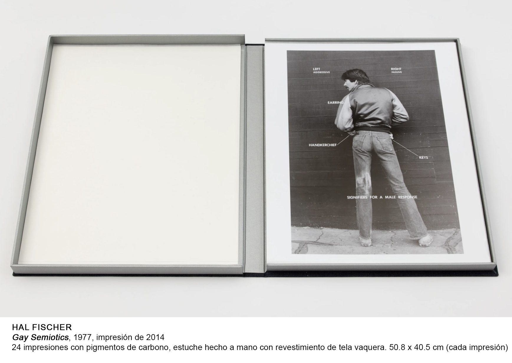 HAL FISCHER-Gay semiotics - hoyesarte.com