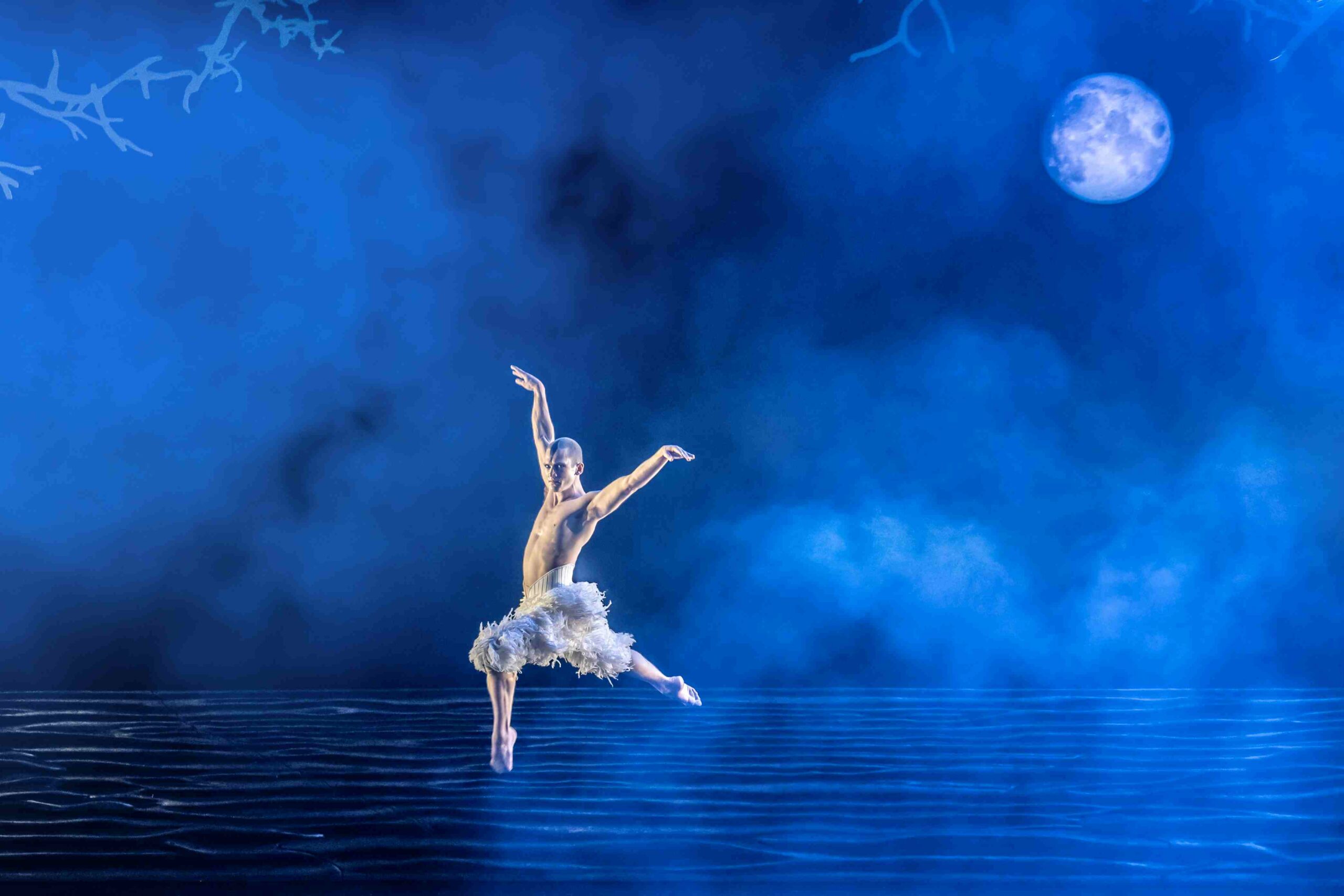 MATTHEW BOURNE'S SWAN LAKE. Jackson Fisch (The Swan). Fotógrafo ...