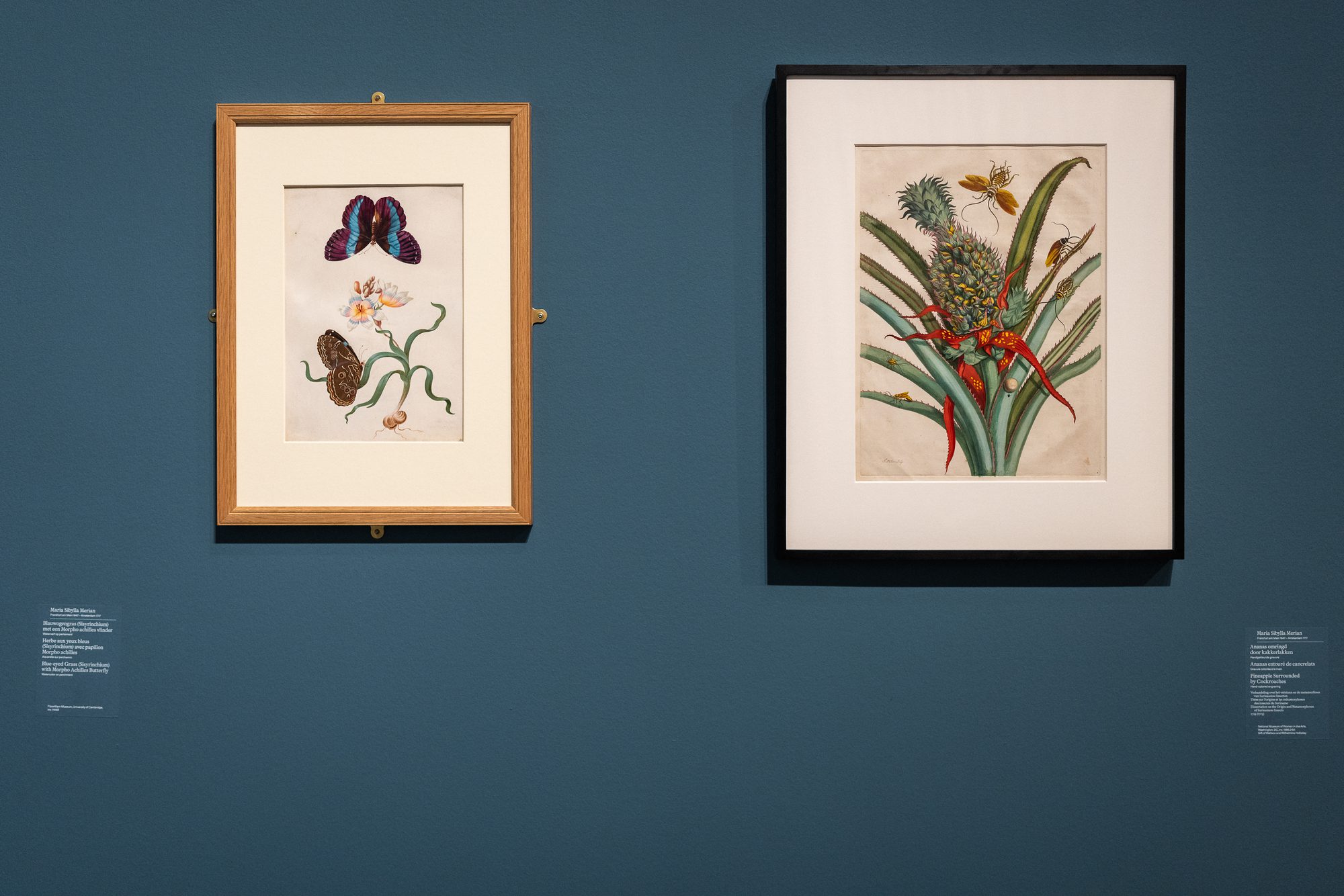 Imagen de la exposición "Unforgettable. Women Artists from Antwerp to ...
